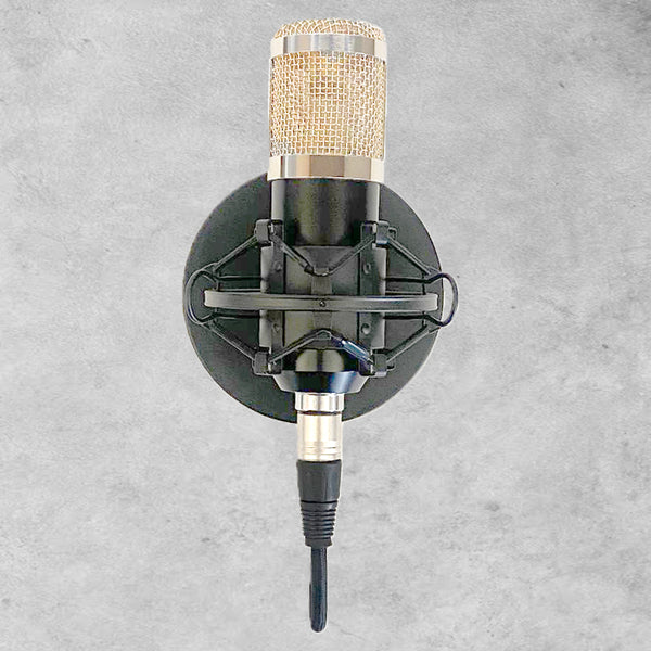 Studio Mic Wall Sconce Light – Velo Bling Designs